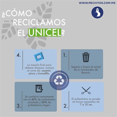 ¡pechitos Se Suma Pechos Pechitos O Pechotes Sa De Cv