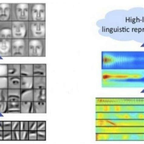 Neural Network For Facial Feature Extraction Download Scientific Diagram