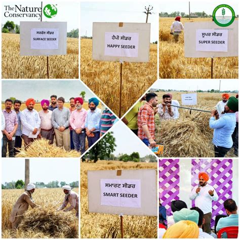 Ramanpreet Singh On Linkedin Rgrcellludhiana Thenatureconservancy Prana Wheatdemonstration