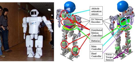 Rh 1 Humanoid Robot On The Hall And Hardware Distribution Download Scientific Diagram