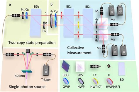 Experimental Setup For Measuring Coherence Of Qubit With Collective Download Scientific Diagram