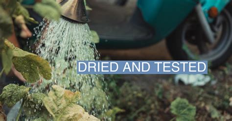 Countries Limit Water Usage To Deal With Droughts Semafor