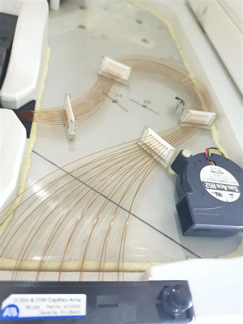 Genetic Analyzer Capillary Array Dna Testing For 3100 3130xl Analyzer Capillary And 3130