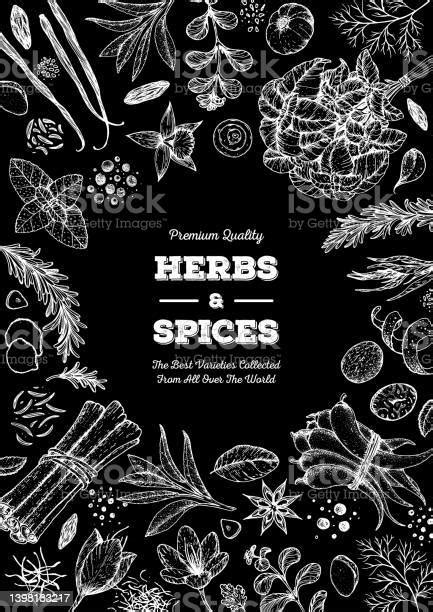 허브와 향신료 손으로 그린 벡터 일러스트레이션 향기로운 식물 손으로 그린 음식 스케치 빈티지 일러스트레이션 카드 디자인 스케치 스타일입니다 향신료와 허브 흑백 디자인 강황에