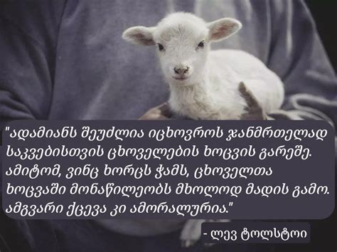 იყავი ჩემი ხმა ️