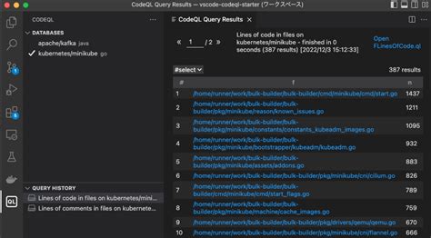 vs code の codeql 拡張と starter workspace でコード分析する 豆蔵デベロッパーサイト