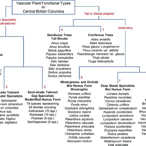 Plant Functional Types Doi101371journalpone0172667g002