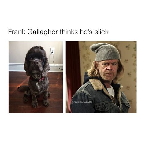 29 Shameless Ideas Shameless Shameless Tv Show Shameless Characters