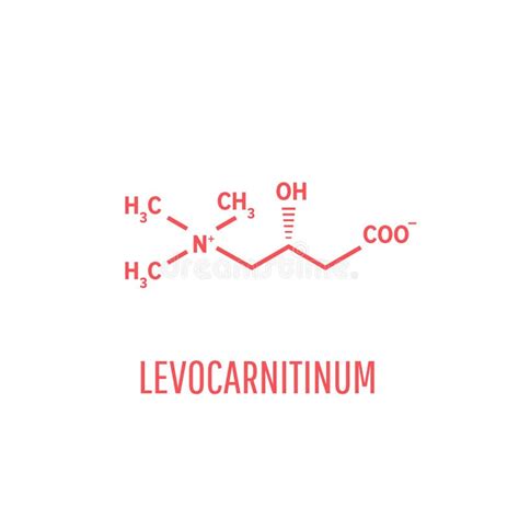 Levocarnitine Biological Molecule Acetylcarnitine Biological Molecule