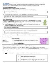 Comparing Cell Types Explore The Diversity Of Cells With A Course Hero
