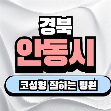 경북 안동시 코 성형외과 잘하는 병원 추천 및 가격 비교 매부리코 코끝 콧끝 넓은 코 등 Loyal It