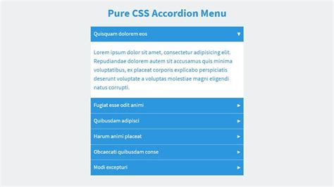 Best CSS Accordions Designs Top 25 Wpshopmart Com