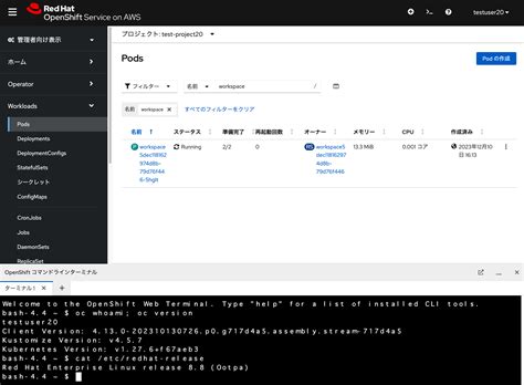 Web Terminalの利用 Openshift Handson