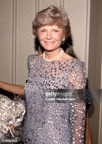 236 Barbara Billingsley Photos And High Res Pictures Getty Images