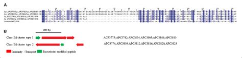 multiple sequence alignments msa of class iid bacteriocin