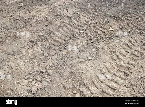 Texture Of Soil Stock Photo Alamy