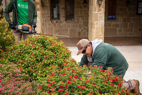Lawn Care Landscaping And Irrigation Austins Best Top Choice