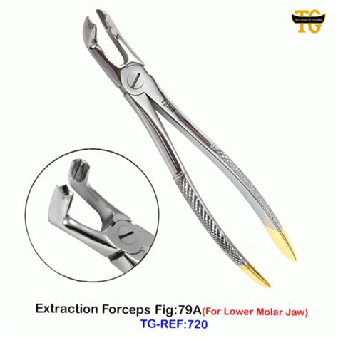 Extraction Forcep Tahir Group Of Industries