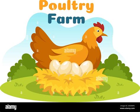 Poultry Farming With Farmer Cage Chicken And Egg Farm On Green Field