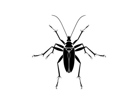 Assassin Bug Vector Silhouettes Halloween Insect Art Premium Ai