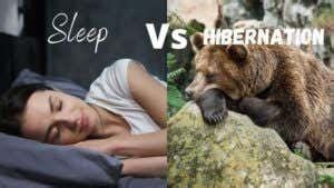 What Is The Difference Between Sleep And Hibernate In Windows 10
