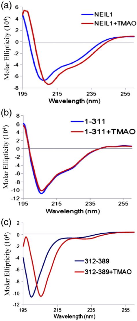 Figure 1 From The Disordered C Terminal Domain Of Human Dna Glycosylase
