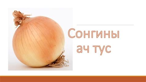 Сонгины ач тус 🧅🧅🧅 Youtube