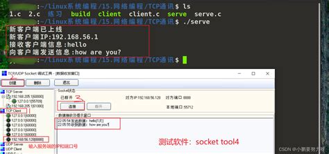 Socket网络编程socket函数头文件 Csdn博客