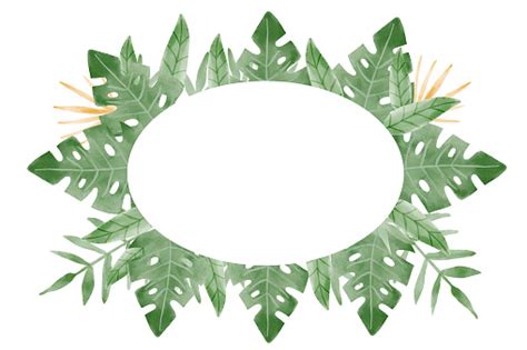 열대 나뭇잎 원형 프레임 수채화와 마른 손바닥 정글은 프레임을 나뭇잎 몬스 테라 야자 잎 흰색 배경에 격리된 손으로 그린 그림 웨딩 엽서 클립 아트 로고 요소 0명에 대한
