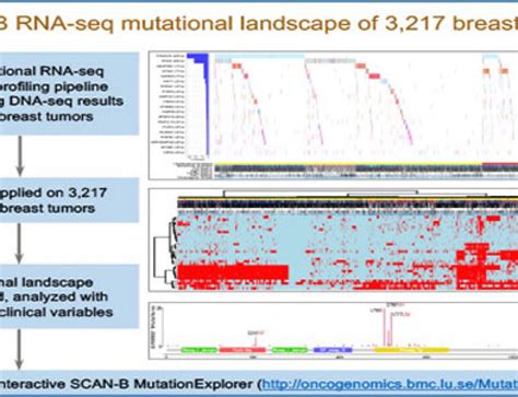 The Gatk Best Practices For Variant Calling On Rnaseq Rna Seq Blog