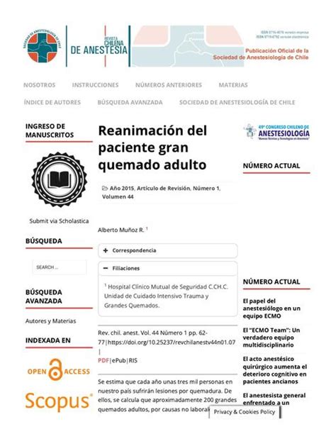 Reanimación Del Paciente Gran Quemado Adulto Richard Perez Udocz