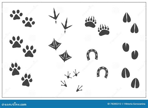 5 step simple progress level indicator with color code progression