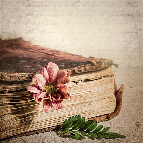 Vintage Books Photography Hd