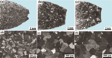 The Macrostructure And Microstructure Of The Longitudinal Sections Near Download Scientific