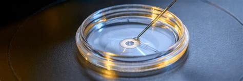 Gene Correction Process Prevents Inherited Disorders Nprc