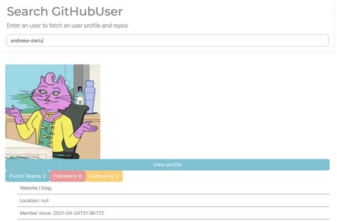 GitHub Andreea Olariu Github User Finder
