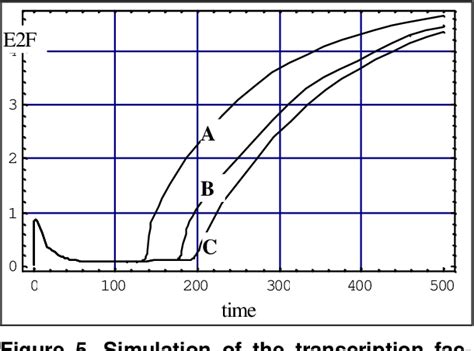 Figure 1 From Simulation Of Mammalian Cell Population Dynamics Semantic Scholar
