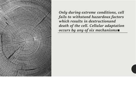 Cell Adaptation Physiology And Pathologypdf