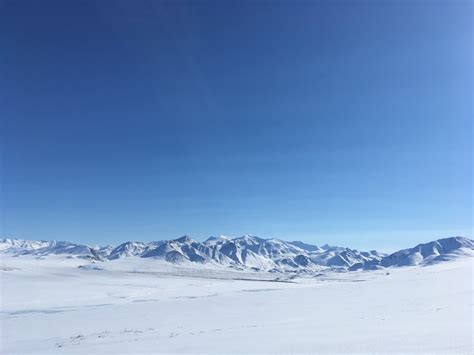 Arctic Tundra Winter