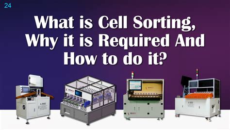 Aly Ellithy On Linkedin What Is Cell Sorting Why It Is Required And