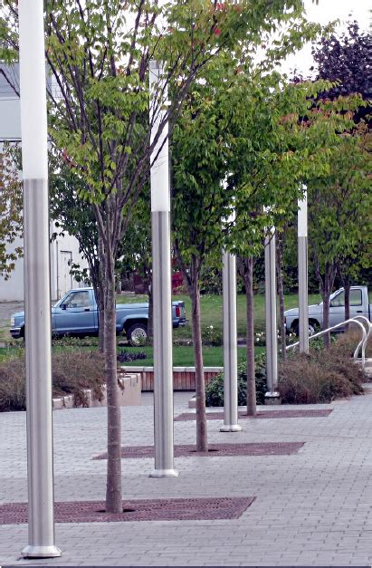 Earth Tree Box Filter HandWiki