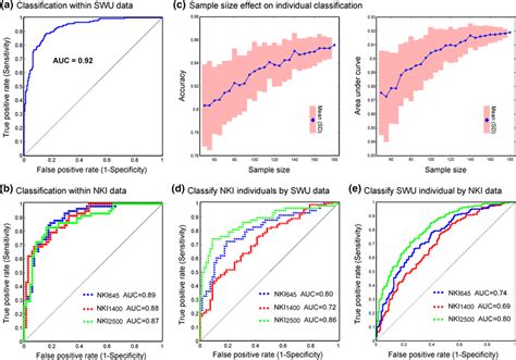 Classification Performance Of Discriminating Old From Young Adults