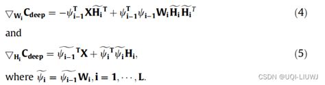 论文笔记：a Survey Of Deep Nonnegative Matrix Factorization深度非负矩阵分解 Csdn博客