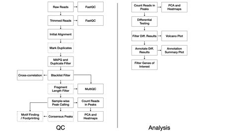 Bulk Chip Seq