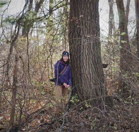 Abby Tree 1 Scarborough Land Trust