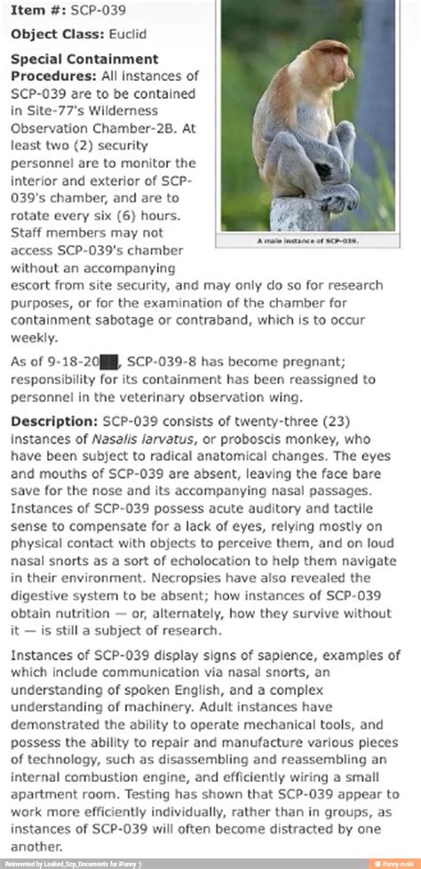 Object Class Euclid Special Containment Procedures All Instances Of Scp 039 Are To Be