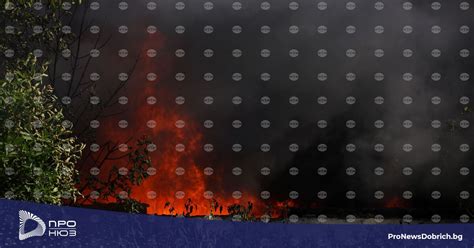 Пожар гори в гората над великотърновския квартал „Чолаковци“ задействана е системата за