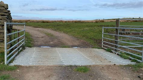 Additional Protection Grid Hopkins Cattle Grids