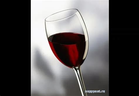 Самые странные названия вин