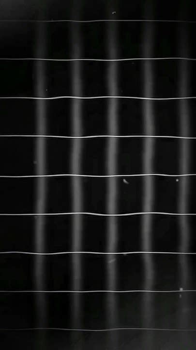 Формы на html — слишком просто 💻 вебразработка html css новички код shorts лайфхак youtube